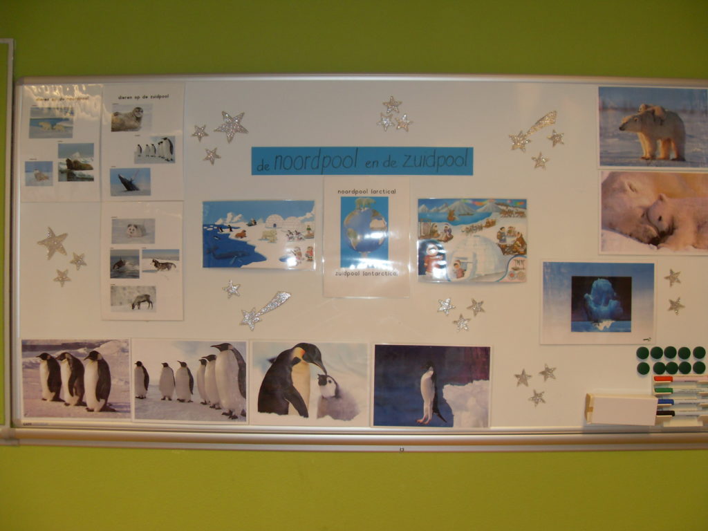 Noordpool / Zuidpool – Juf Leonie