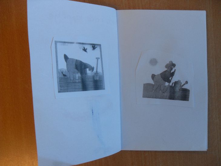 Het rode kippetje - Juf Leonie